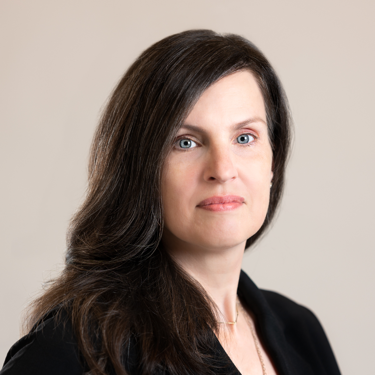 CloudSibyl - Your Cloud FinOps Assistant